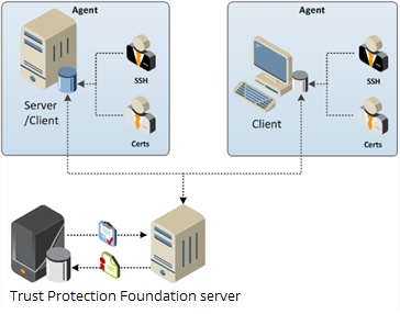 Agent-based discovery